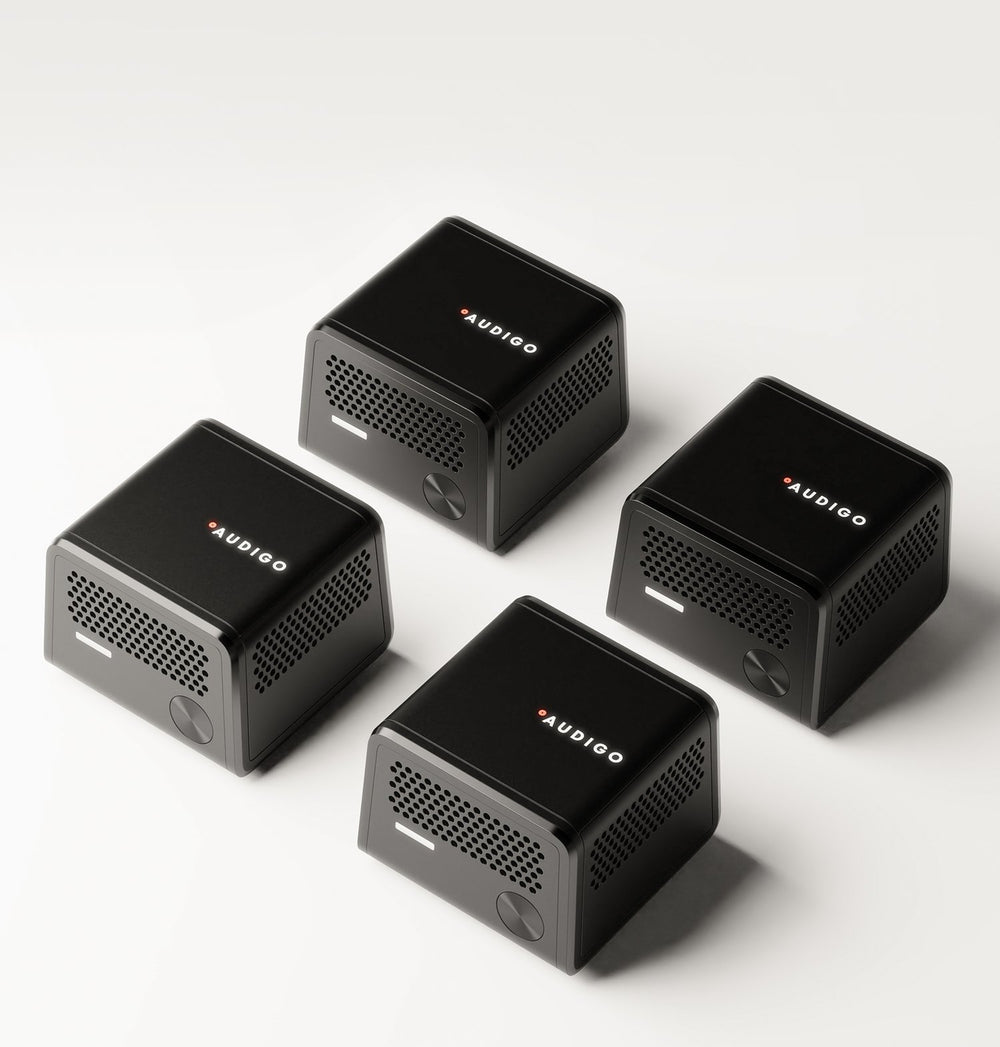 Multi-Mic Recording - Audigo